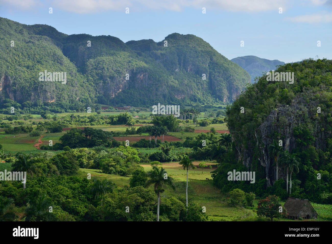 The Vinales valley Stock Photo - Alamy