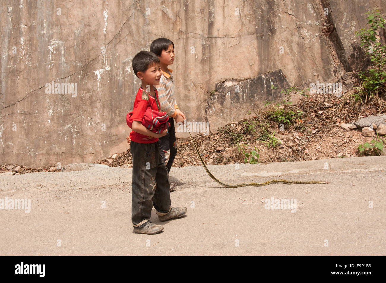 Playing with the snake hi-res stock photography and images - Alamy