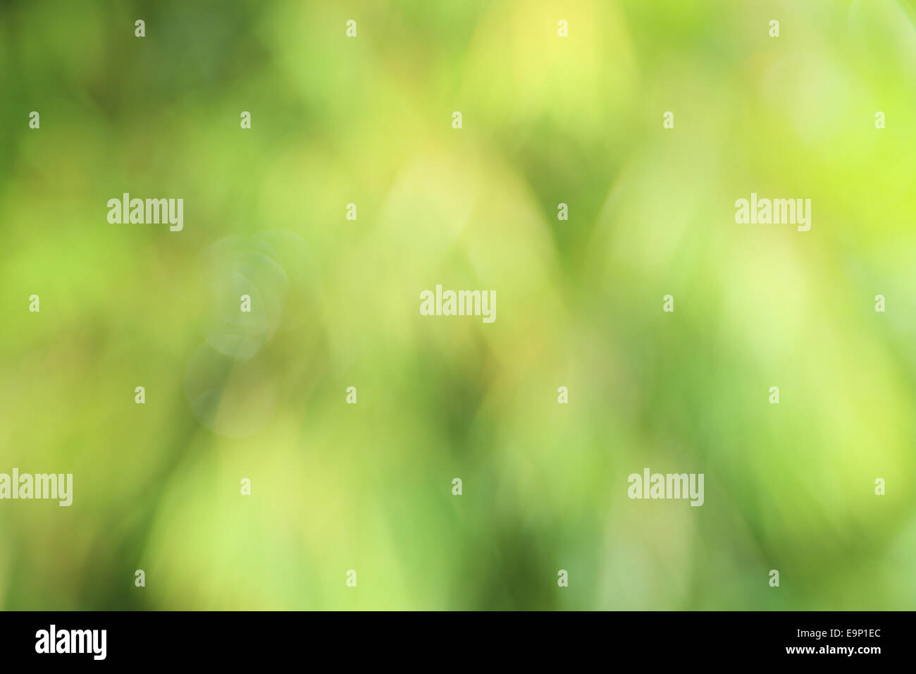 natural blur abstract and background (defocused Stock Photo - Alamy