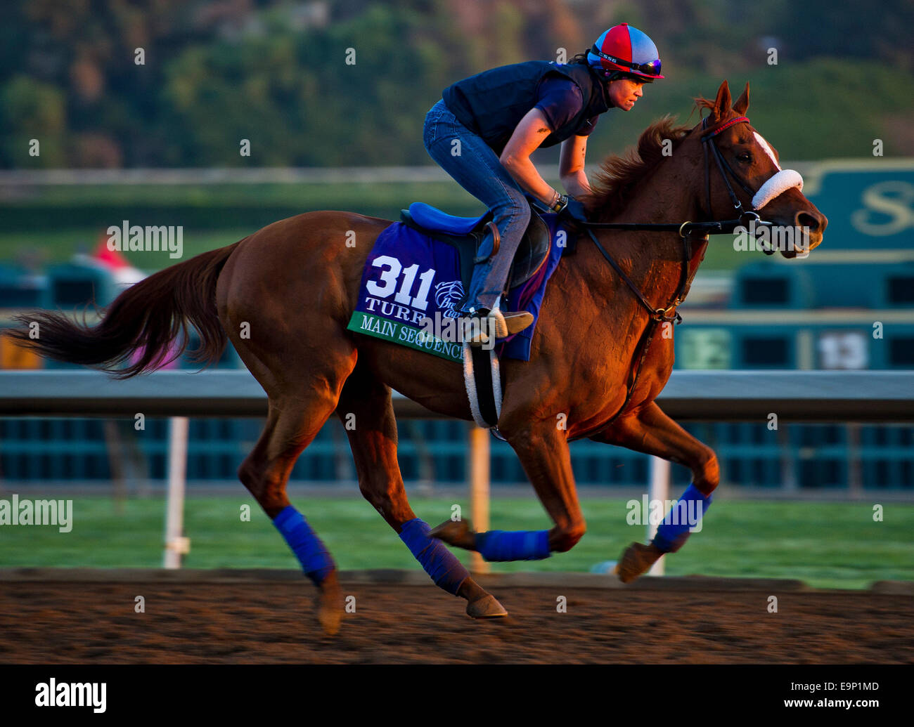 Horse motion sequence hi-res stock photography and images - Alamy