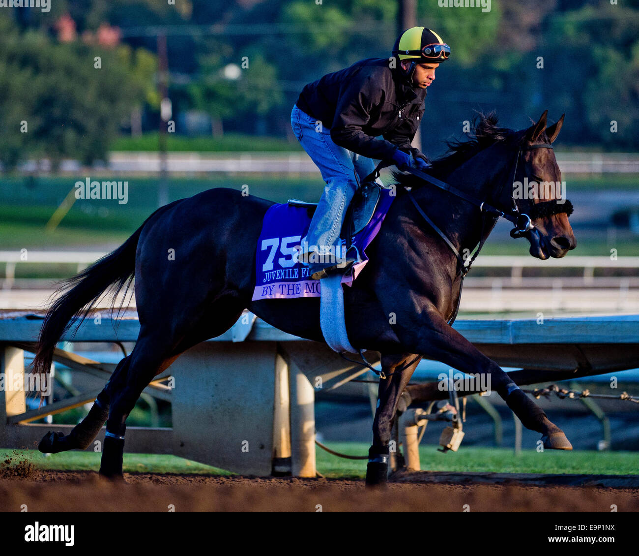 Arcadia, CA, USA. 30th Oct, 2014. October 30, 2014: By the Moon ...