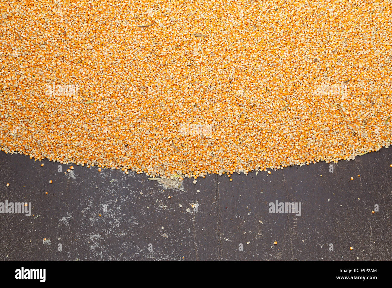 Pile of raw kernel corn beans on truck Stock Photo - Alamy