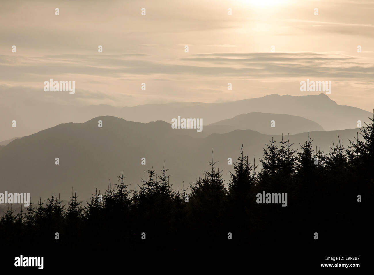 Dawn over Beddgelert Forest and in the distance Cnicht mountain ...