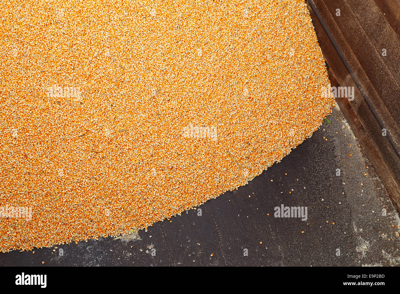 Corn harvest pile hi-res stock photography and images - Alamy