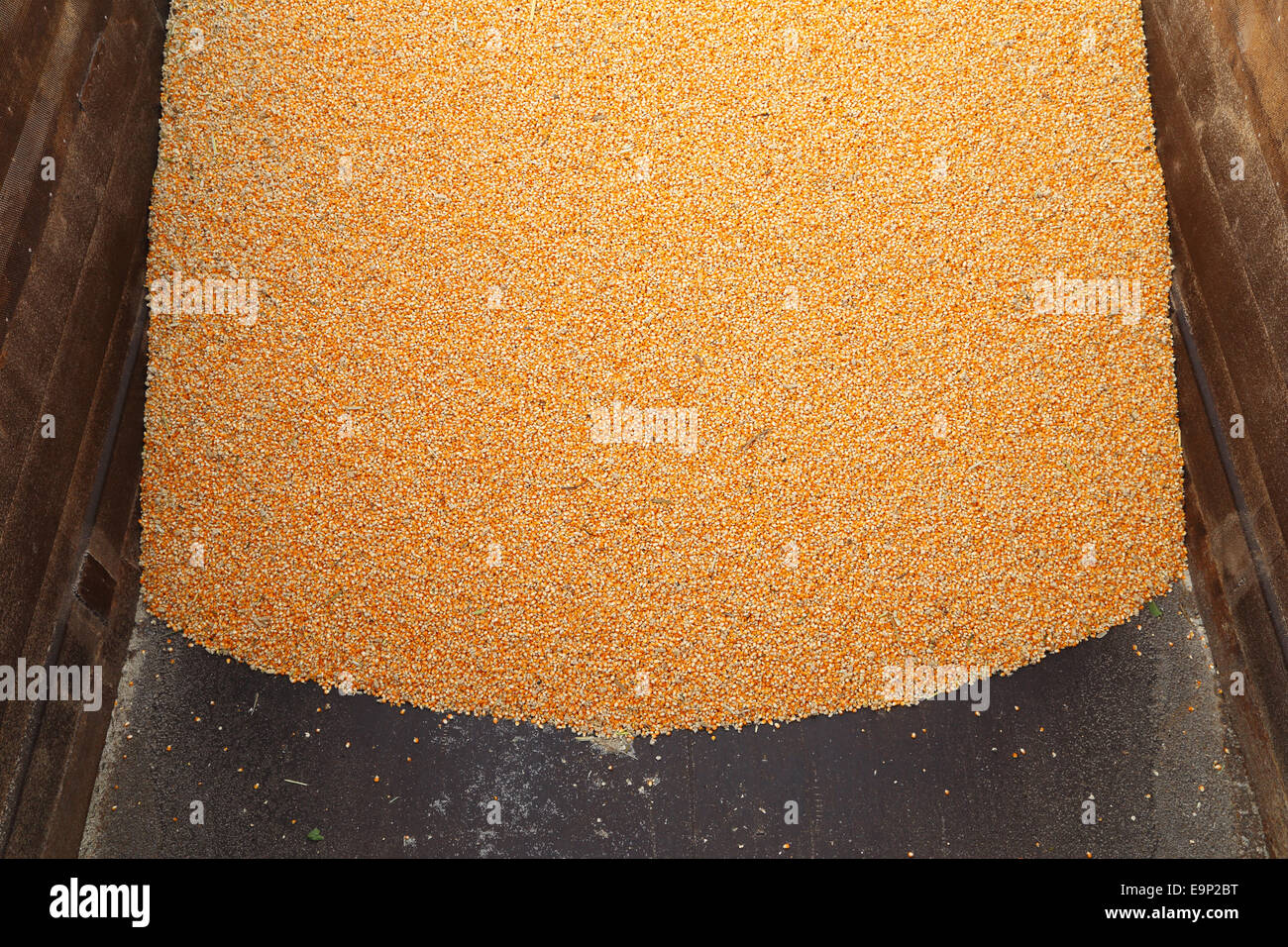 Pile of corn kernels hi-res stock photography and images - Alamy