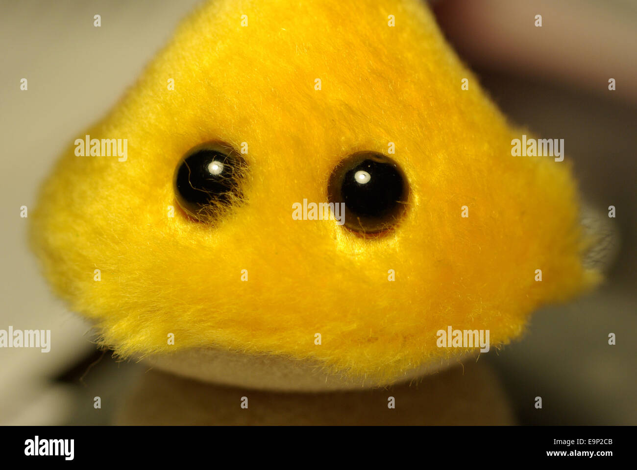 Fuzzy mushroom hi-res stock photography and images - Alamy