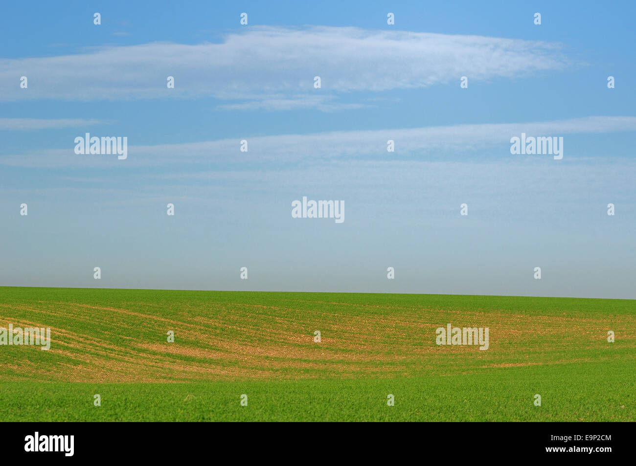 Blue sky green field hi-res stock photography and images - Alamy
