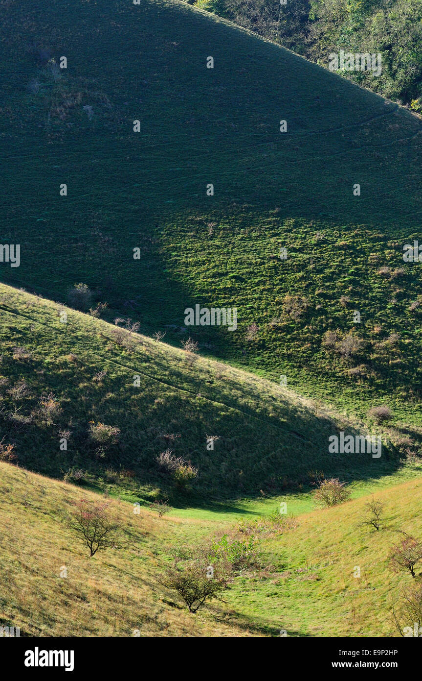 Barton Hills National Nature Reserve, Bedfordshire, England Stock Photo ...