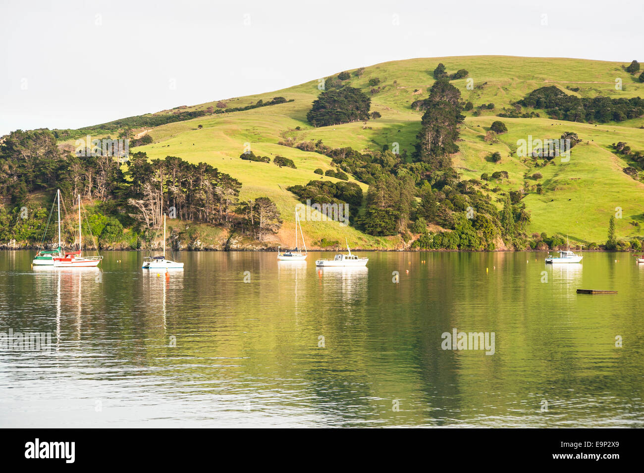 Akaroa harbour, New Zealand Stock Photo - Alamy