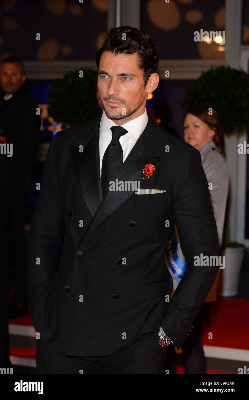 David gandy dogs hi-res stock photography and images - Alamy