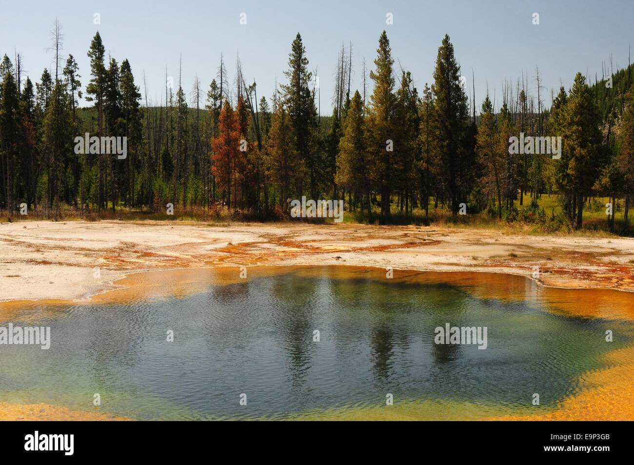 Emerald hot spring hi-res stock photography and images - Alamy