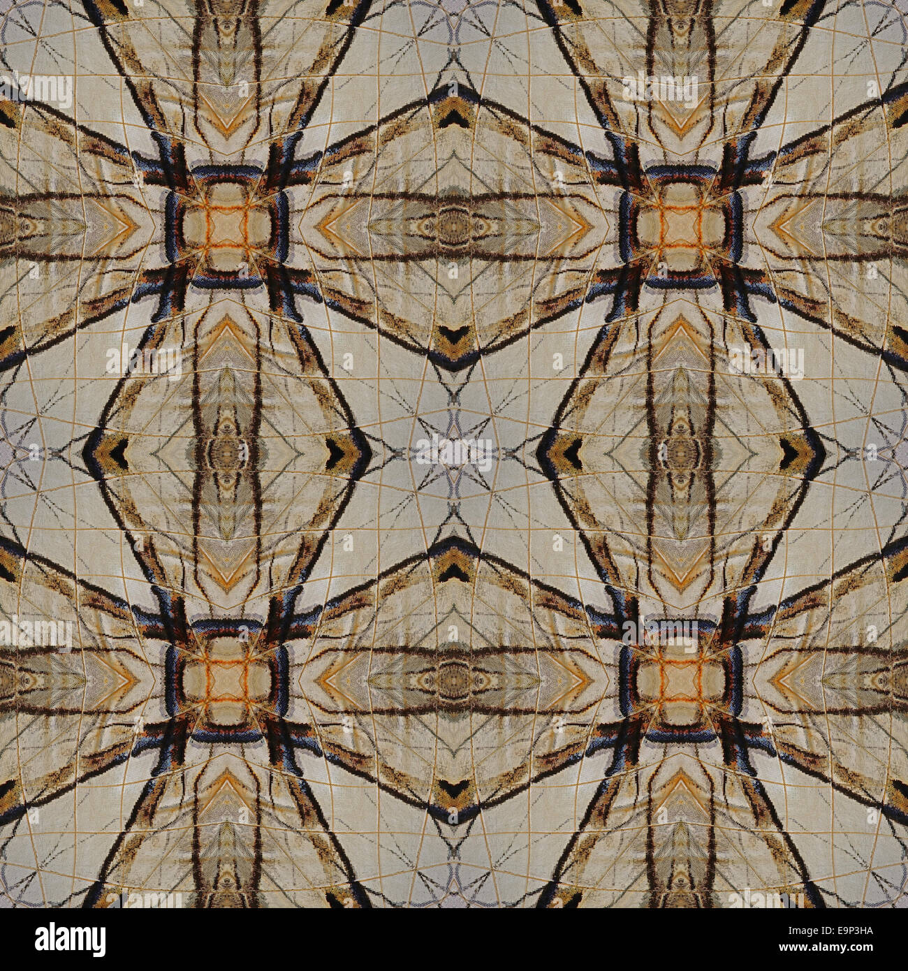 Seamless pattern made from butterfly wing background texture Stock ...