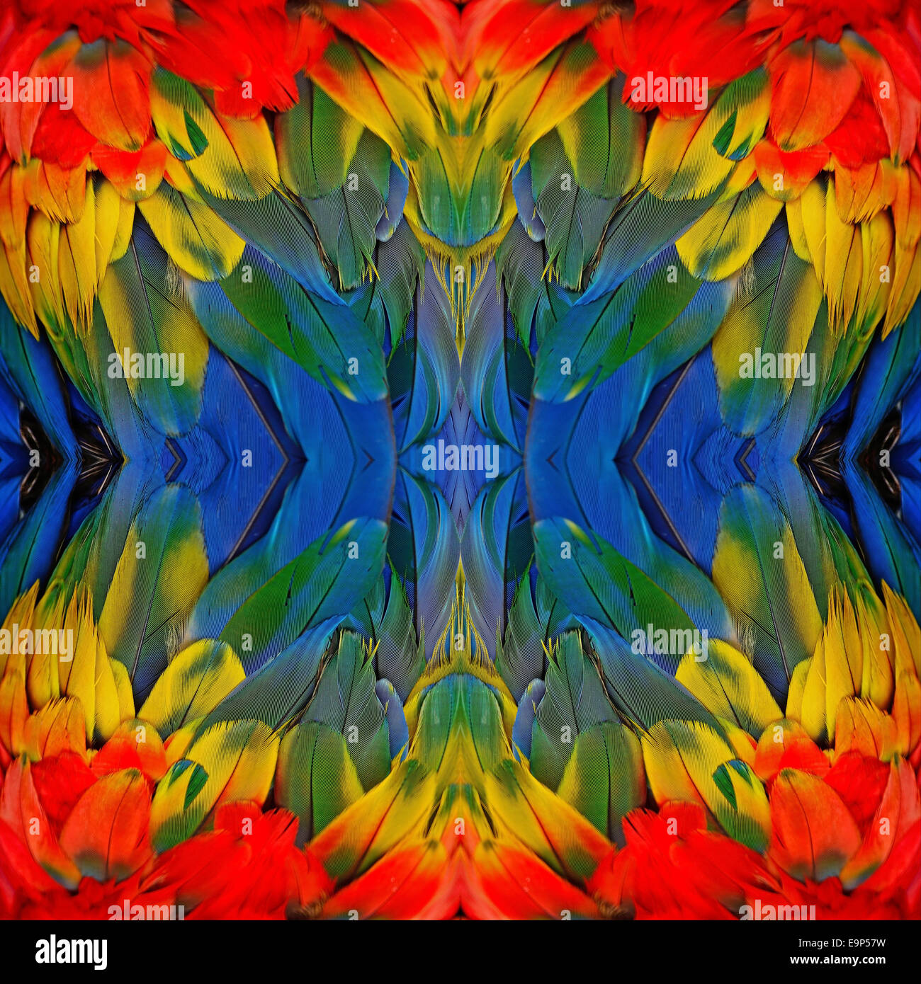 Seamless pattern made from Scarlet Macaw feathers Stock Photo - Alamy