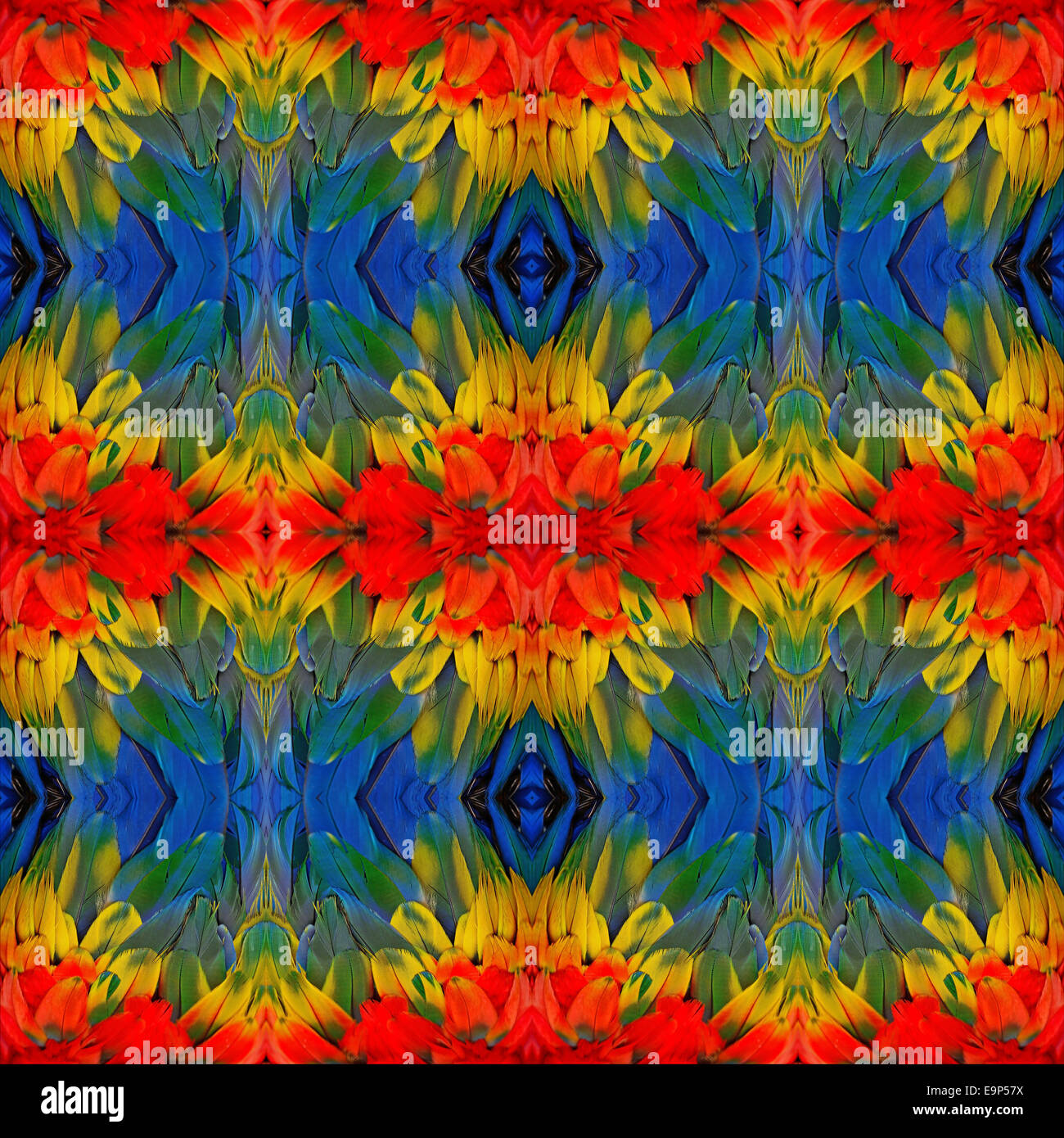 Seamless pattern made from Scarlet Macaw feathers Stock Photo - Alamy