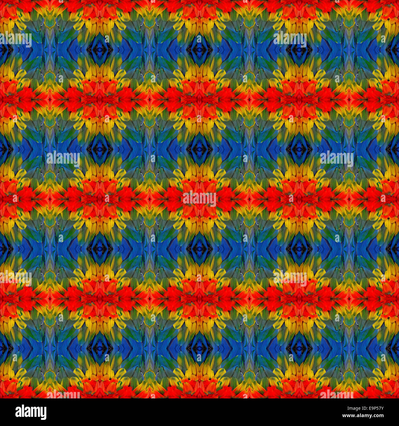 Seamless pattern made from Scarlet Macaw feathers Stock Photo - Alamy