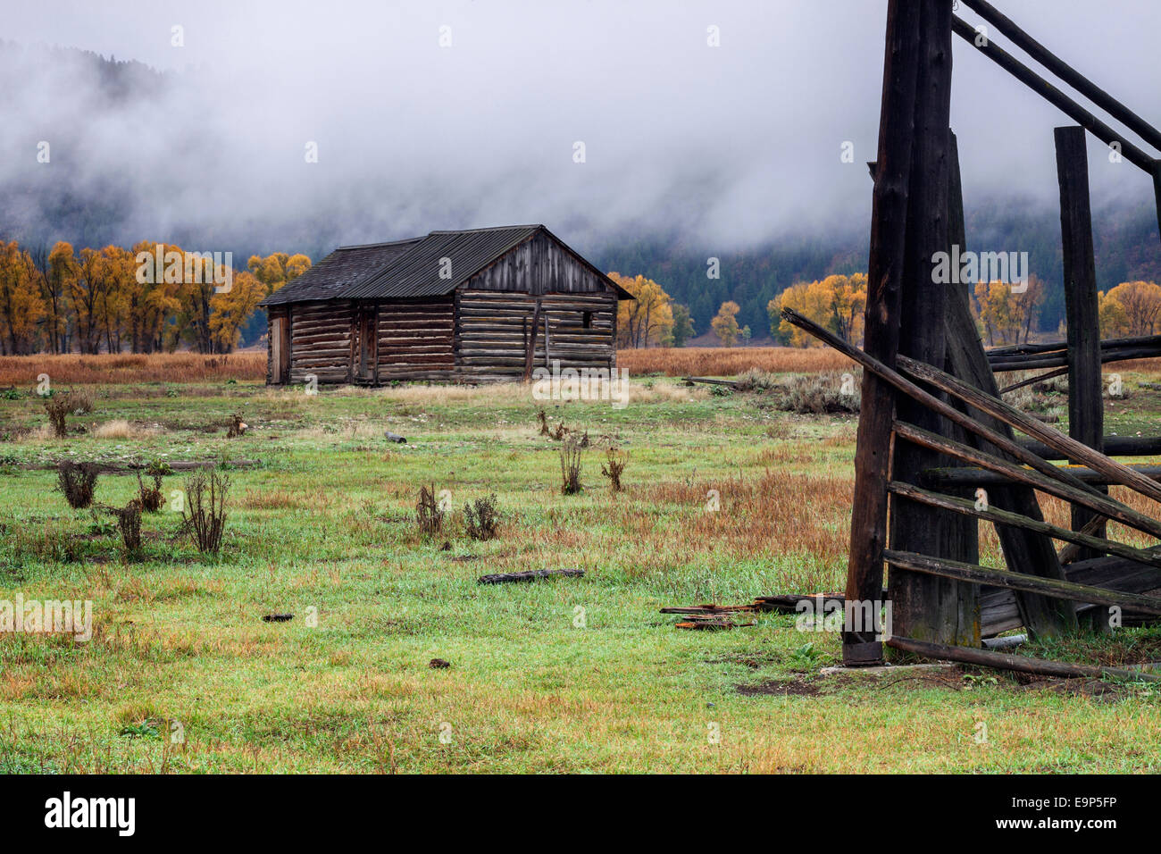 Jackson row hi-res stock photography and images - Alamy