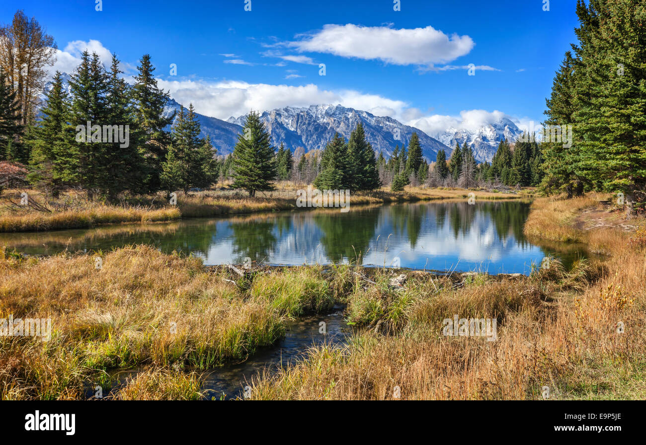 Schwabacher landing beaver pond hi-res stock photography and images - Alamy