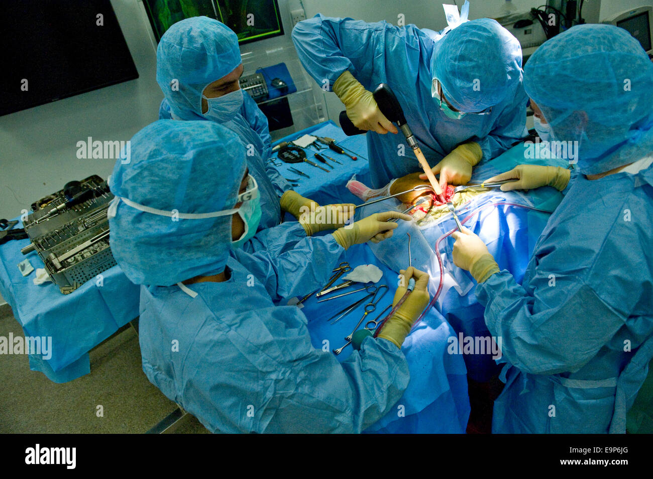 noel fitzpatrick aka super vet bionic vet fitting metal plate to dogs ...