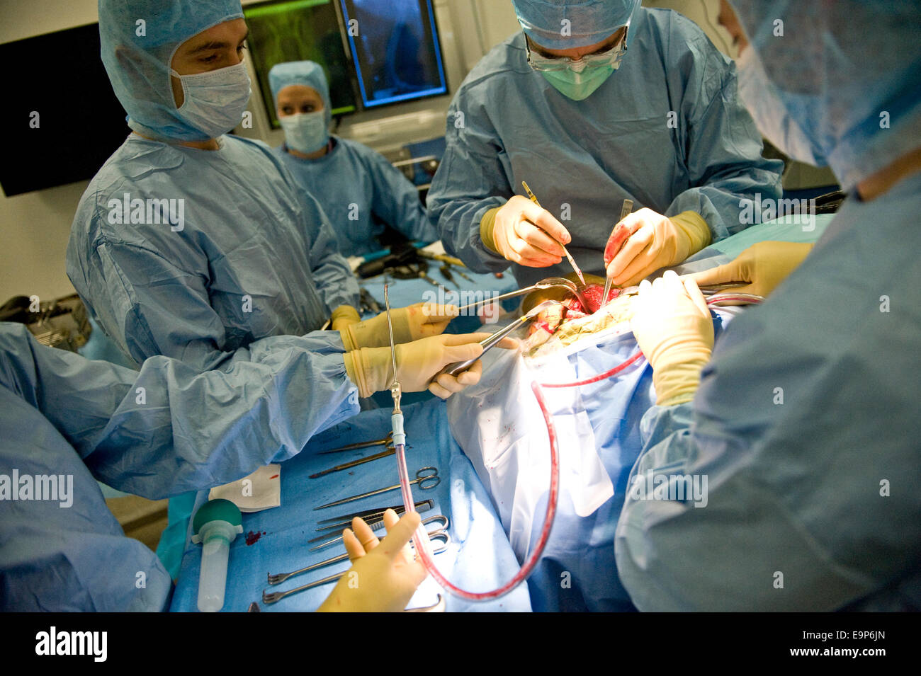 noel fitzpatrick aka super vet bionic vet fitting metal plate to dogs ...