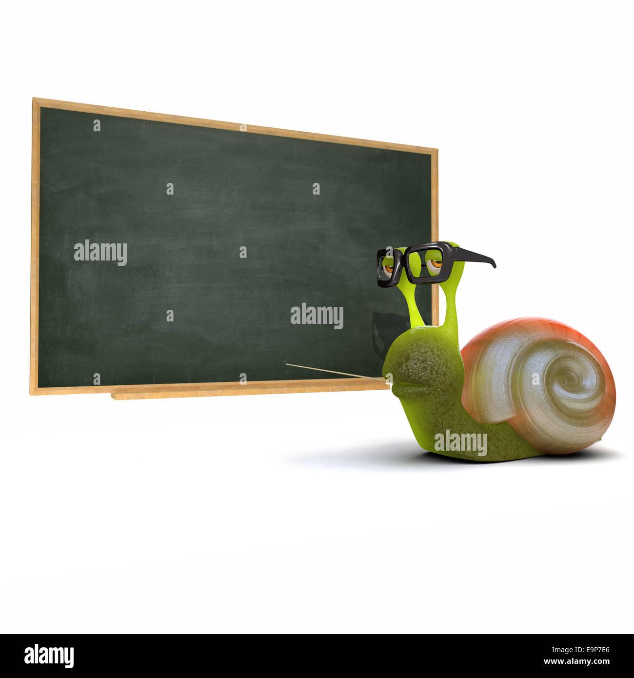 Next shell Cut Out Stock Images & Pictures - Alamy