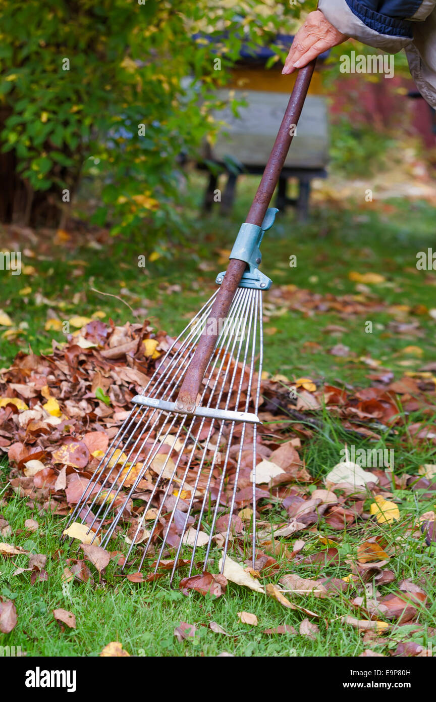 Human Hand with a Rake Stock Photo - Alamy