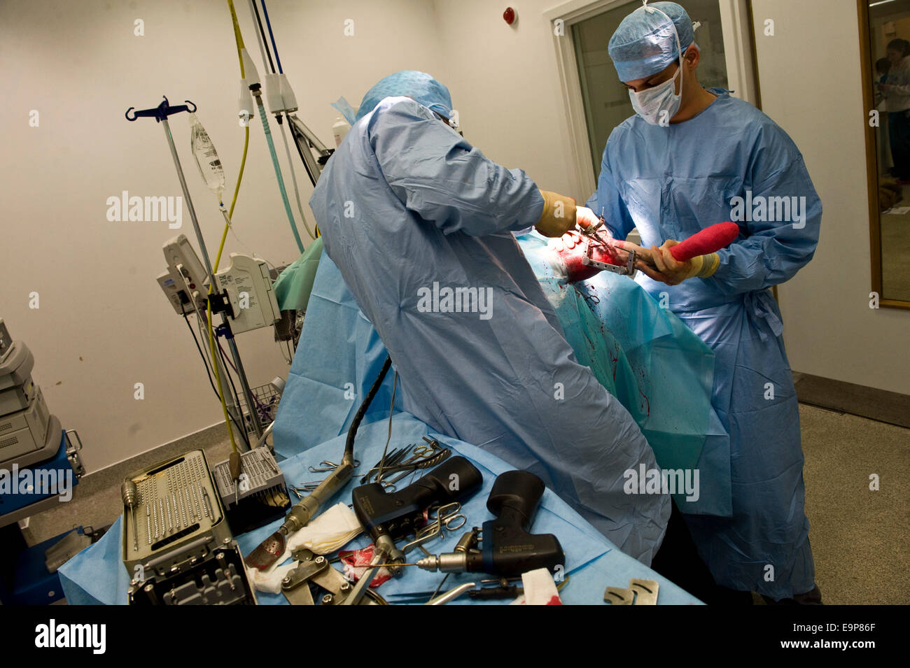 noel fitzpatrick inserts metal implant in dogs hind leg in his state of ...