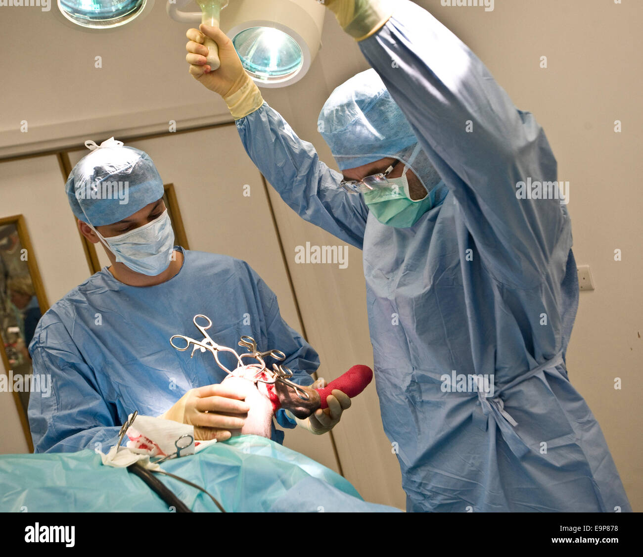 noel fitzpatrick inserts metal implant in dogs hind leg in his state of ...