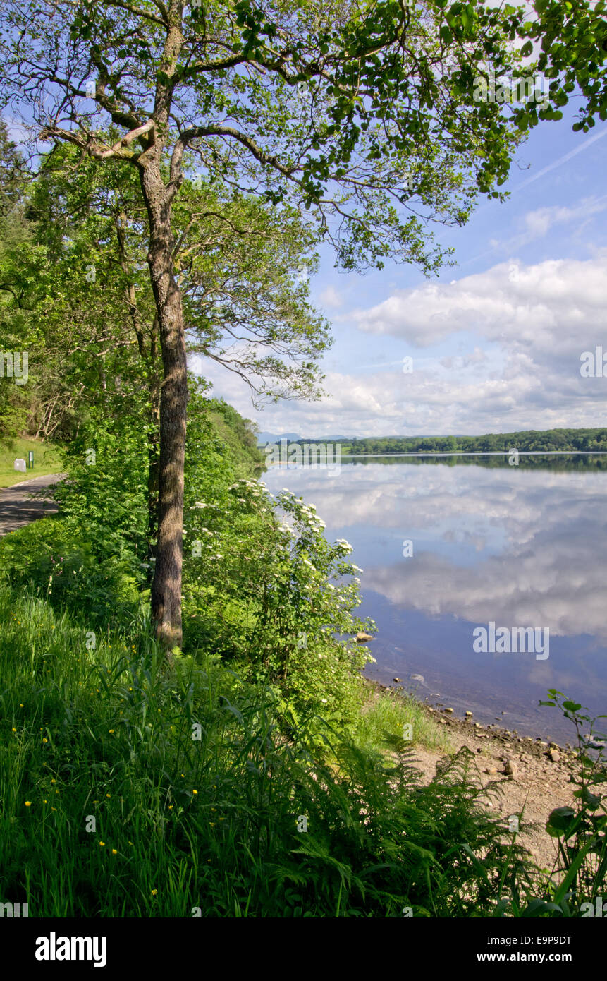 Loch ken scotland hi-res stock photography and images - Alamy