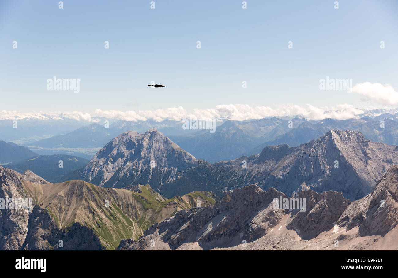 Flying Bird on high mountain Stock Photo - Alamy