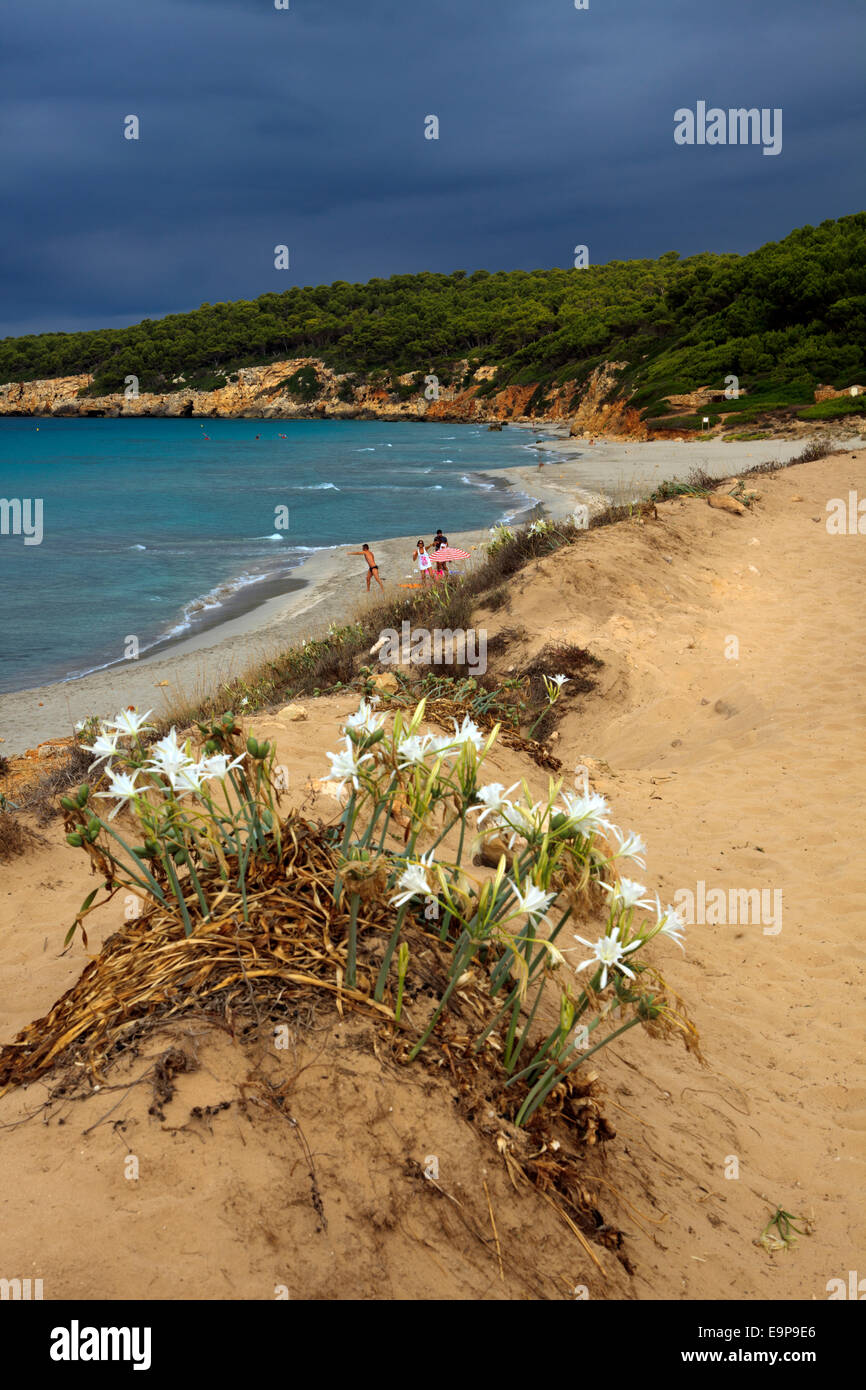 Binigaus beach, Sant Tomas, Menorca, Balearic Islands, Spain Stock ...