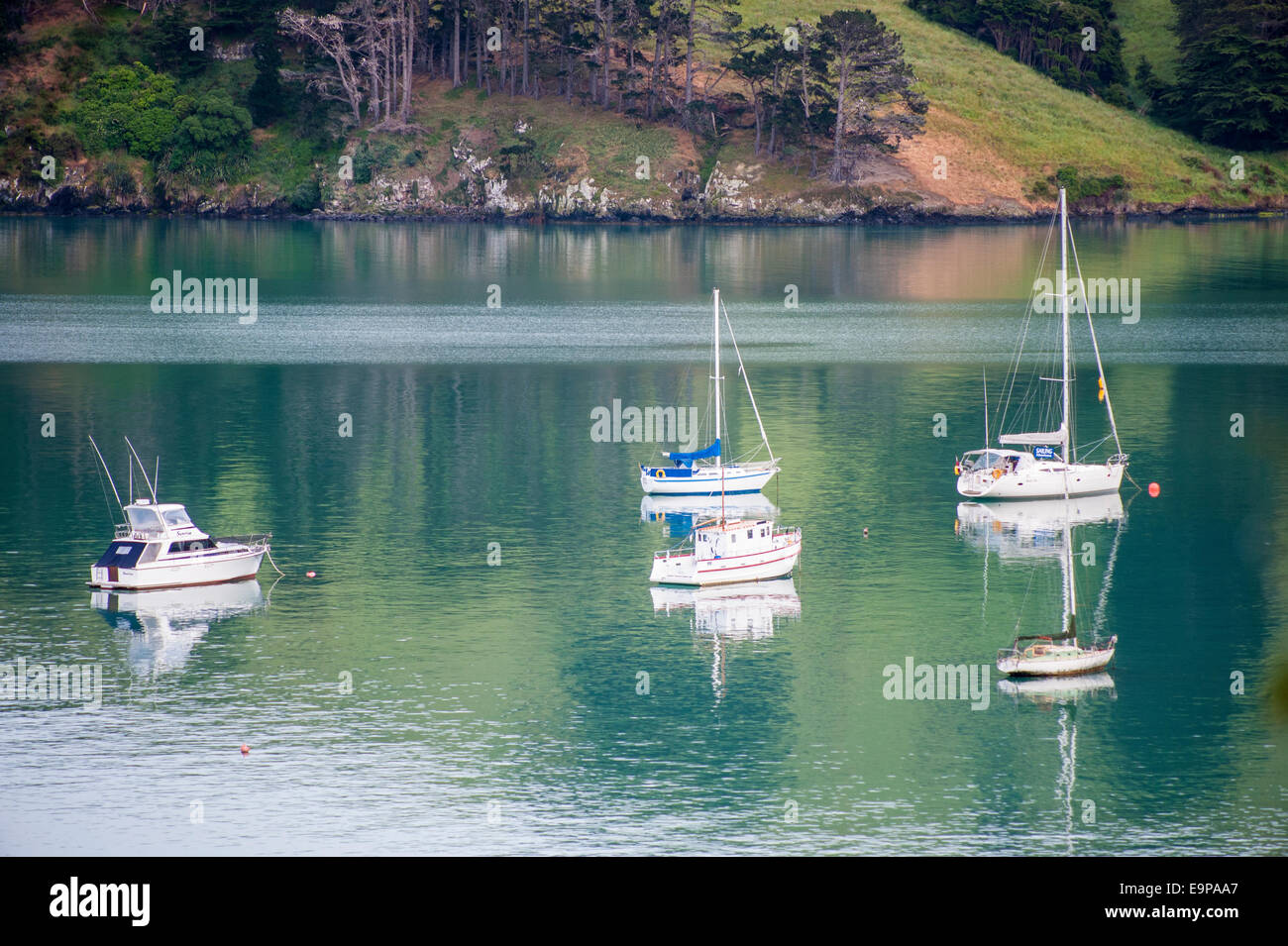 Akaroa harbour, New Zealand Stock Photo - Alamy