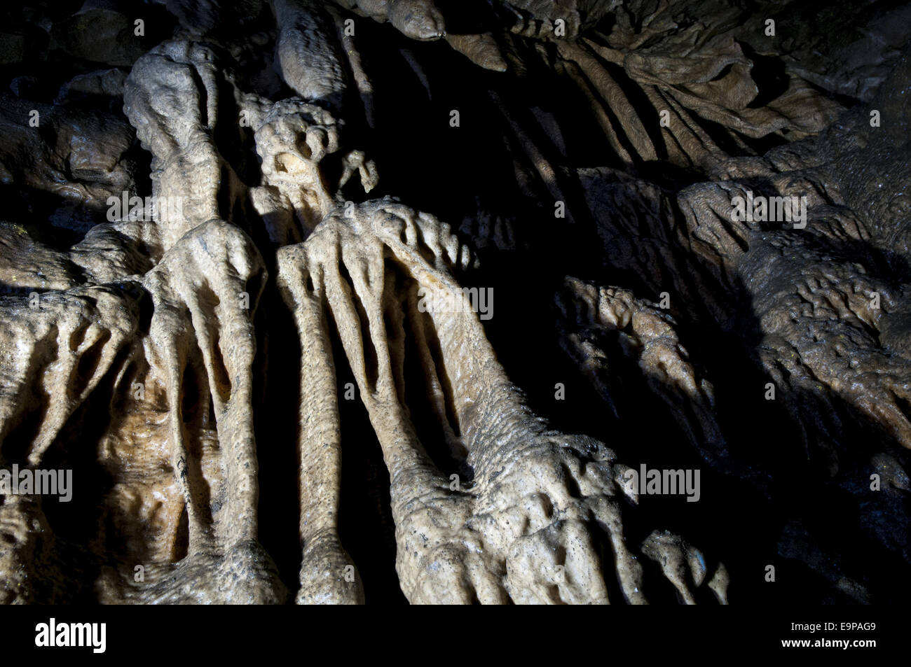 Limestone rock formations in cave, in section of cave not normally ...