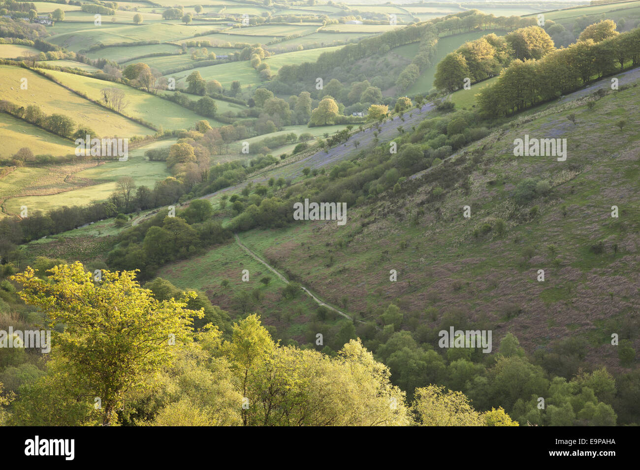 River exe exmoor hi-res stock photography and images - Alamy