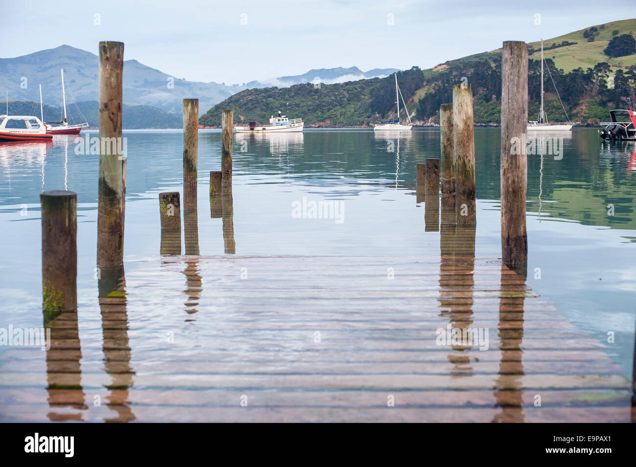 Flooded jetty, Akaroa Stock Photo - Alamy