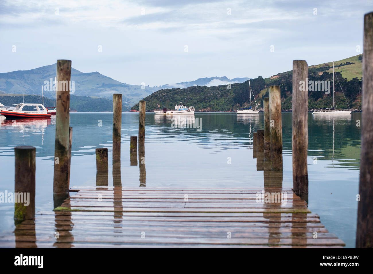 Flooded jetty, Akaroa Stock Photo - Alamy