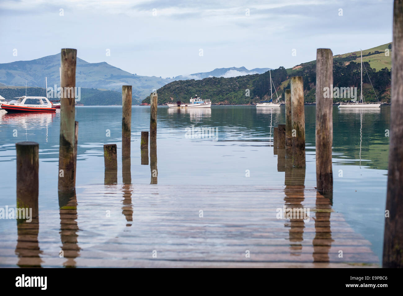 Flooded jetty, Akaroa Stock Photo - Alamy