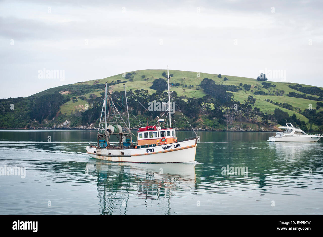 Akaroa harbour, New Zealand Stock Photo - Alamy