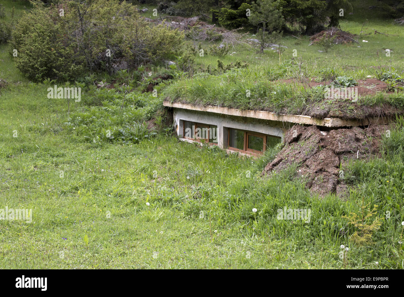 Wildlife photographic hide used for viewing bears, near Yagodina ...