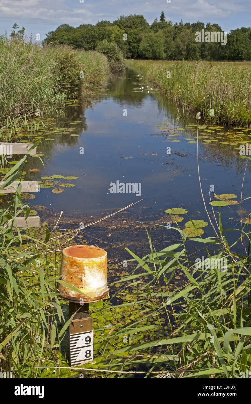 Water level depth marker in freshwater dyke, Sutton Fen RSPB Reserve ...