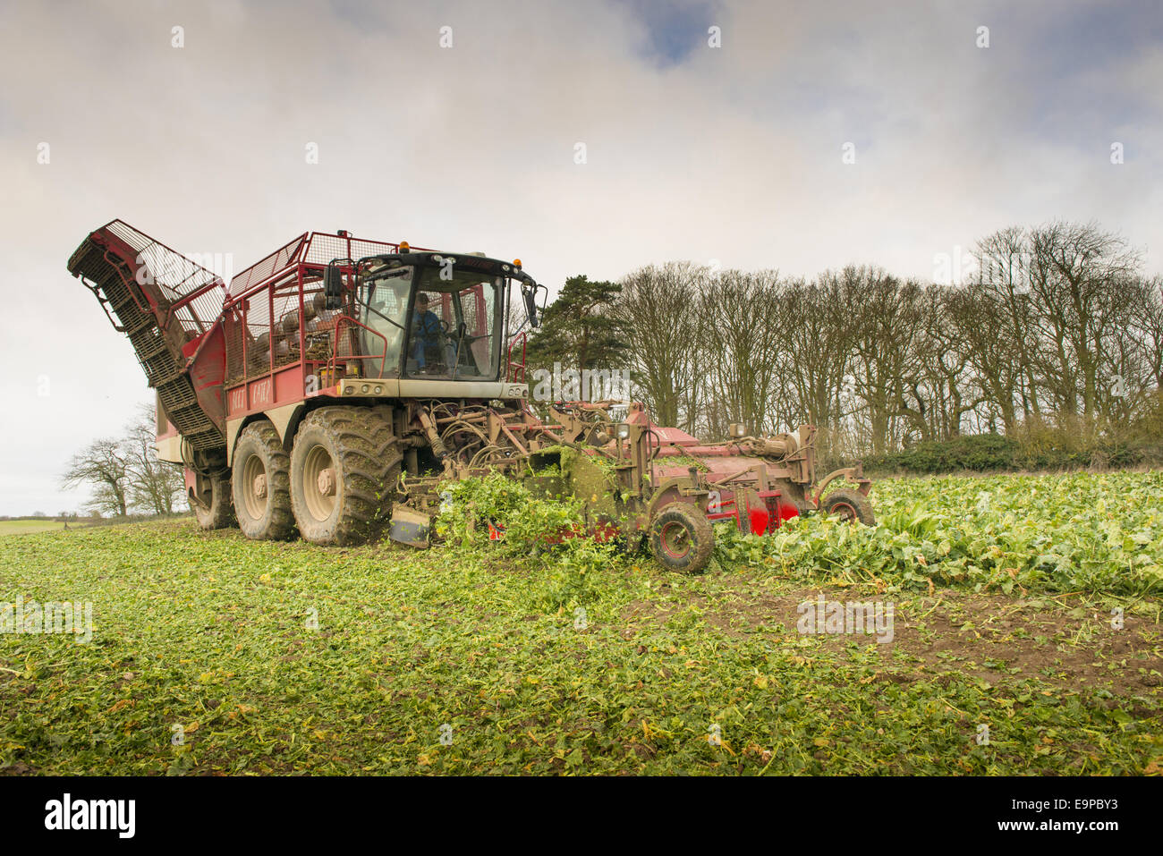 Beet machines hi-res stock photography and images - Alamy