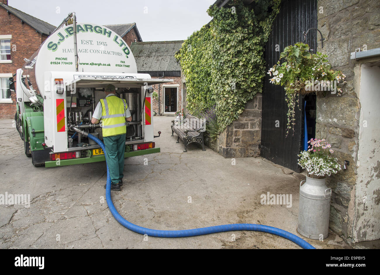 Dairy farming, bulk milk tanker collecting milk from farm, Preston ...