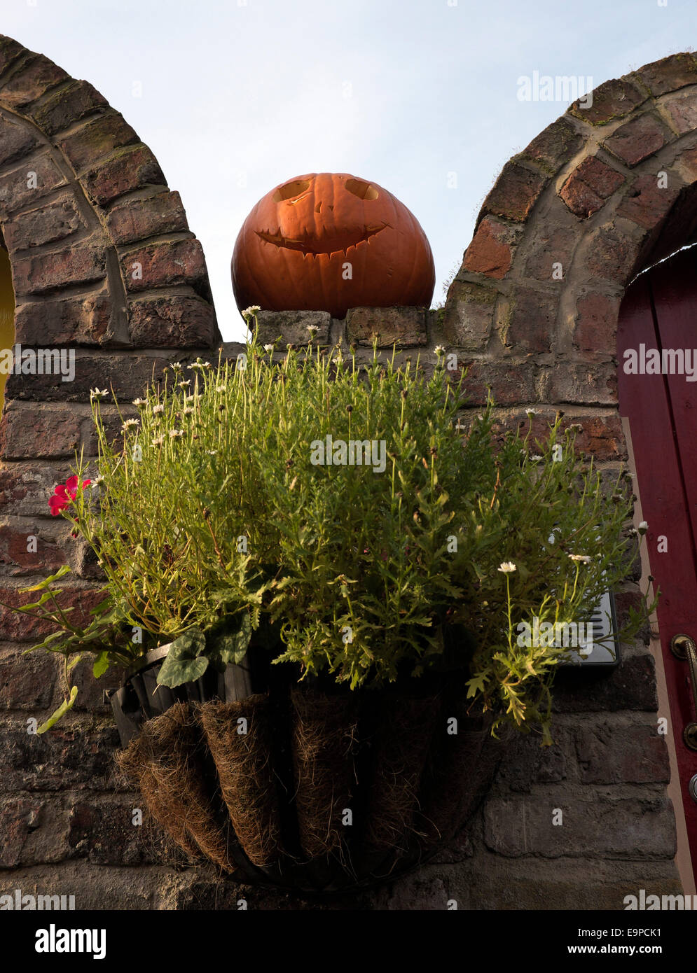 Manchester, UK. 31st October, 2014. A pumpkin sits on the wall of a ...