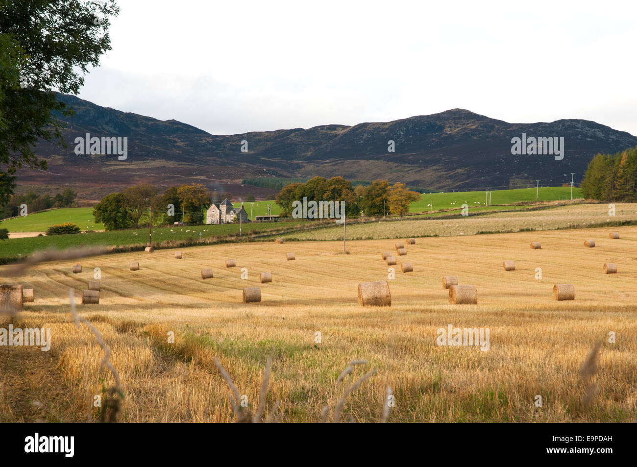 Arable farming landscape hi-res stock photography and images - Alamy