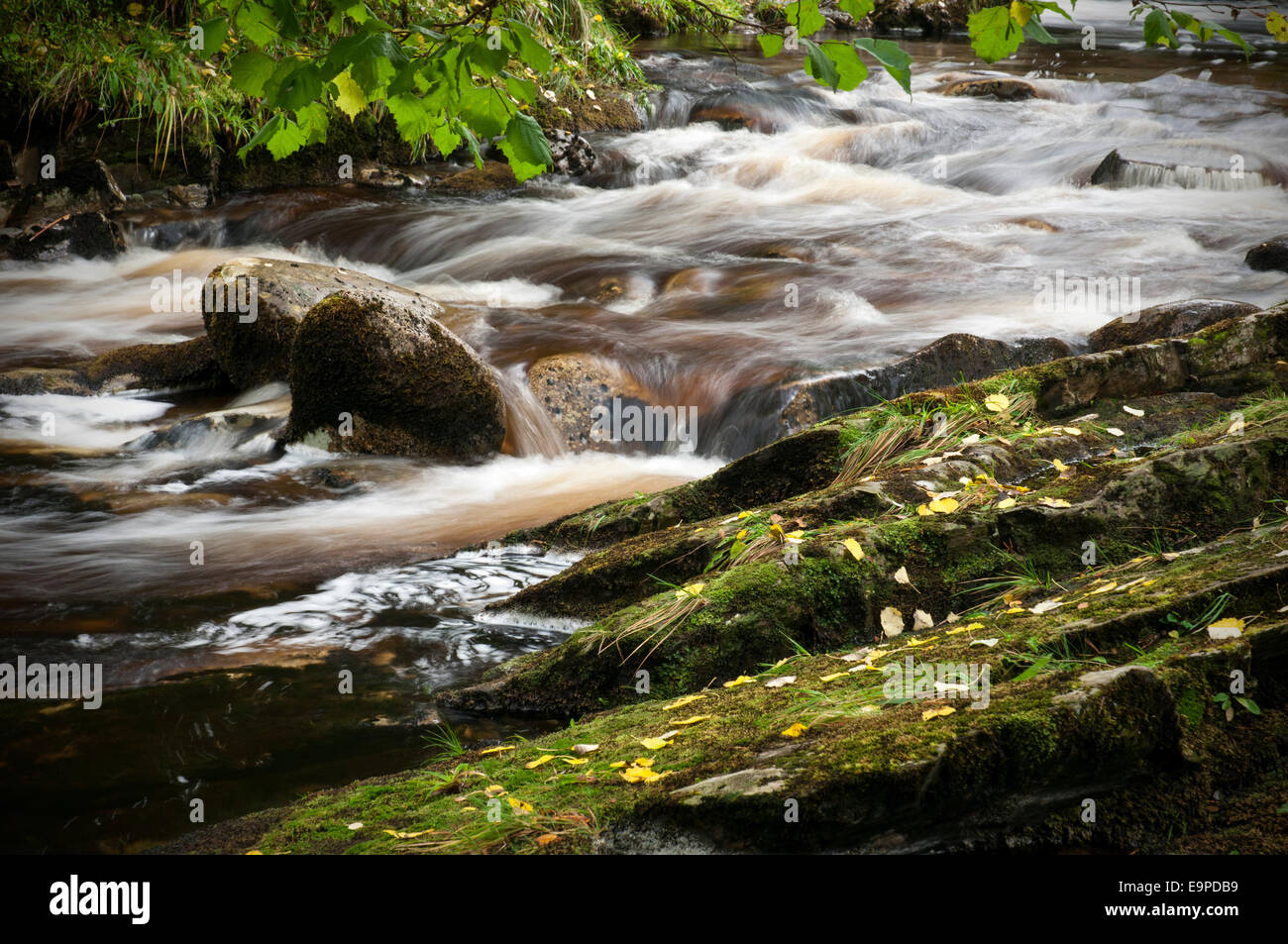 A close-up image of water flowing through rocks and stones at a river ...