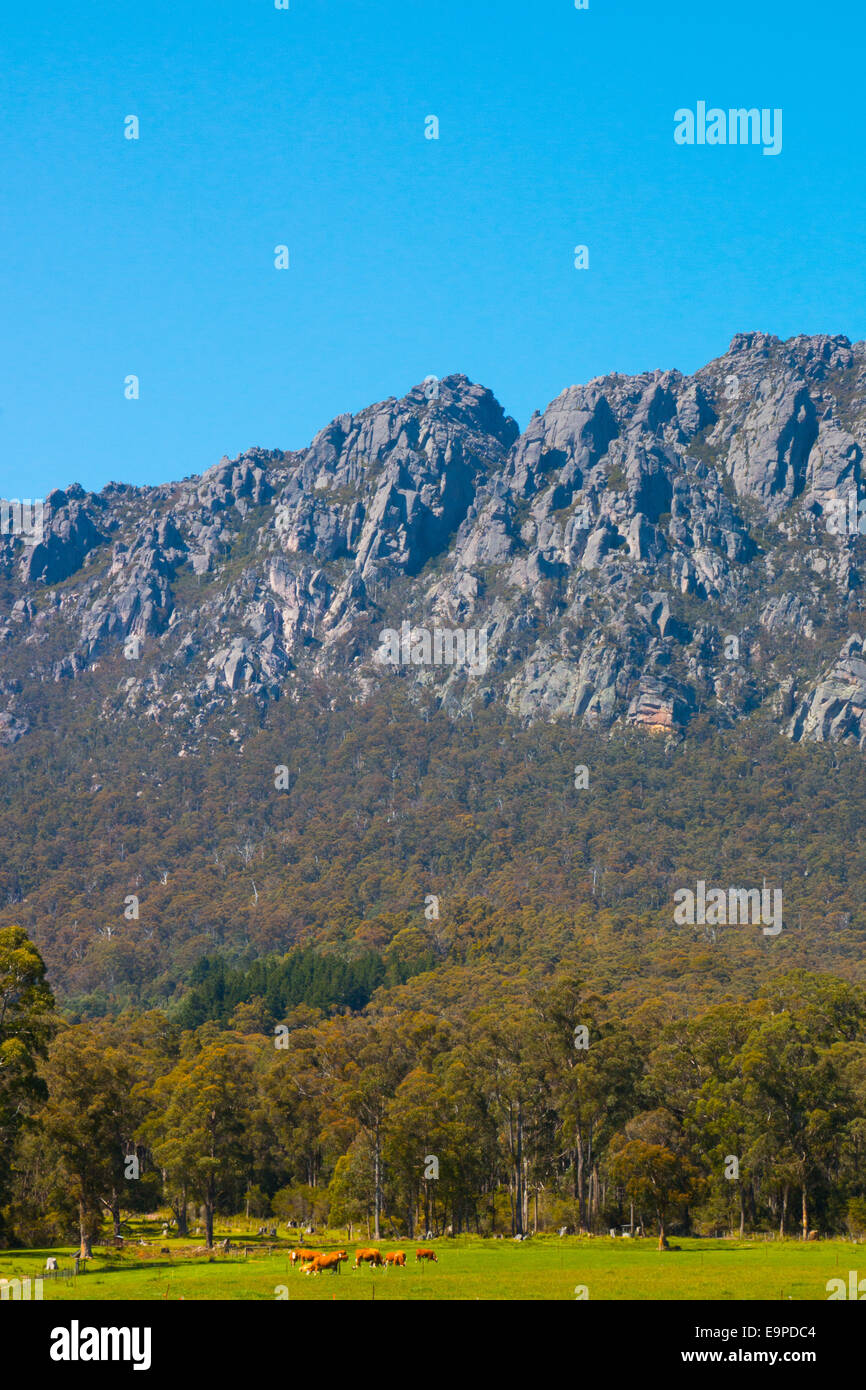 Mount roland conservation area hi-res stock photography and images - Alamy