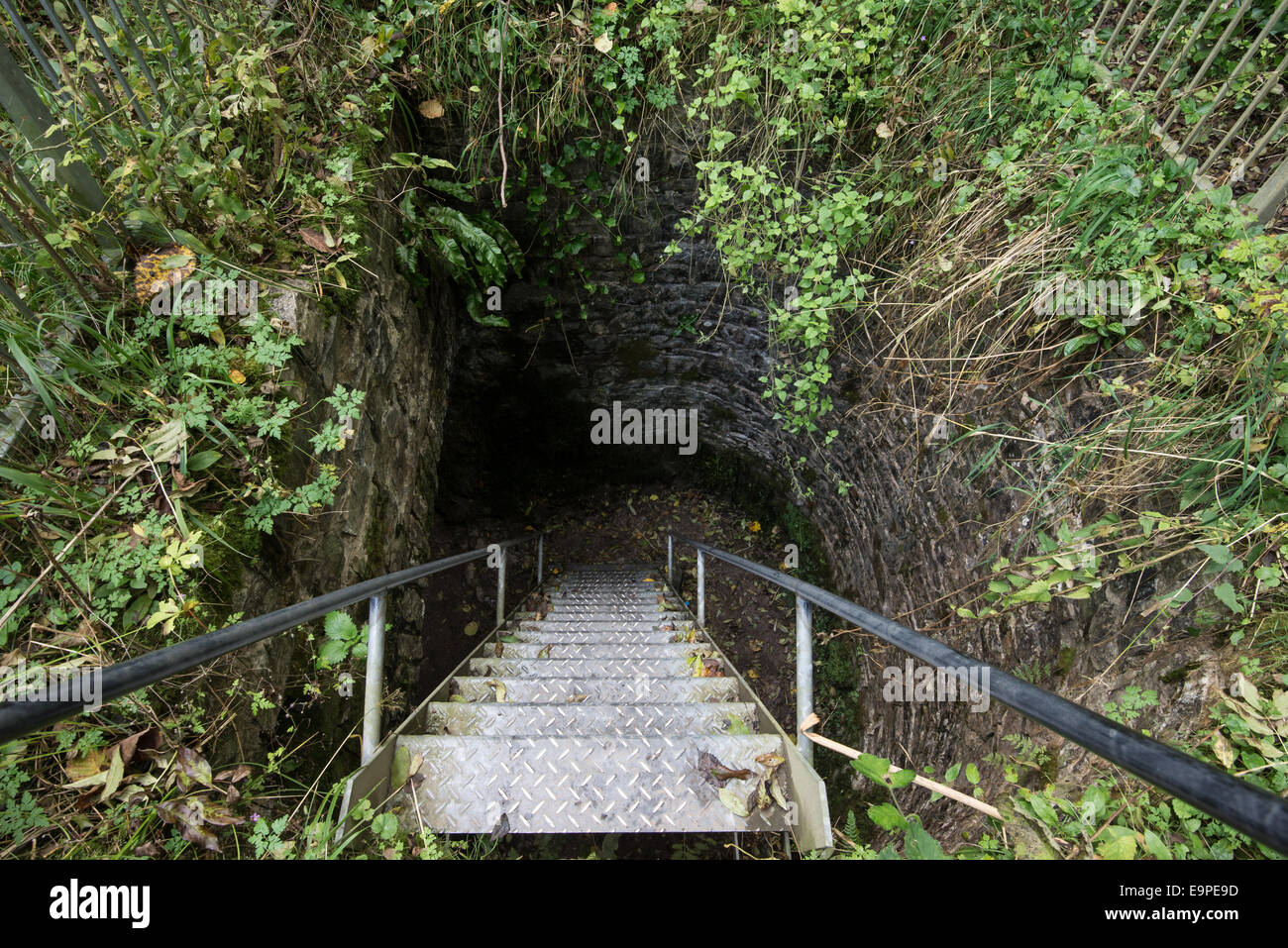 Metal steps down into the mine shaft below Batemans House in Lathkill ...