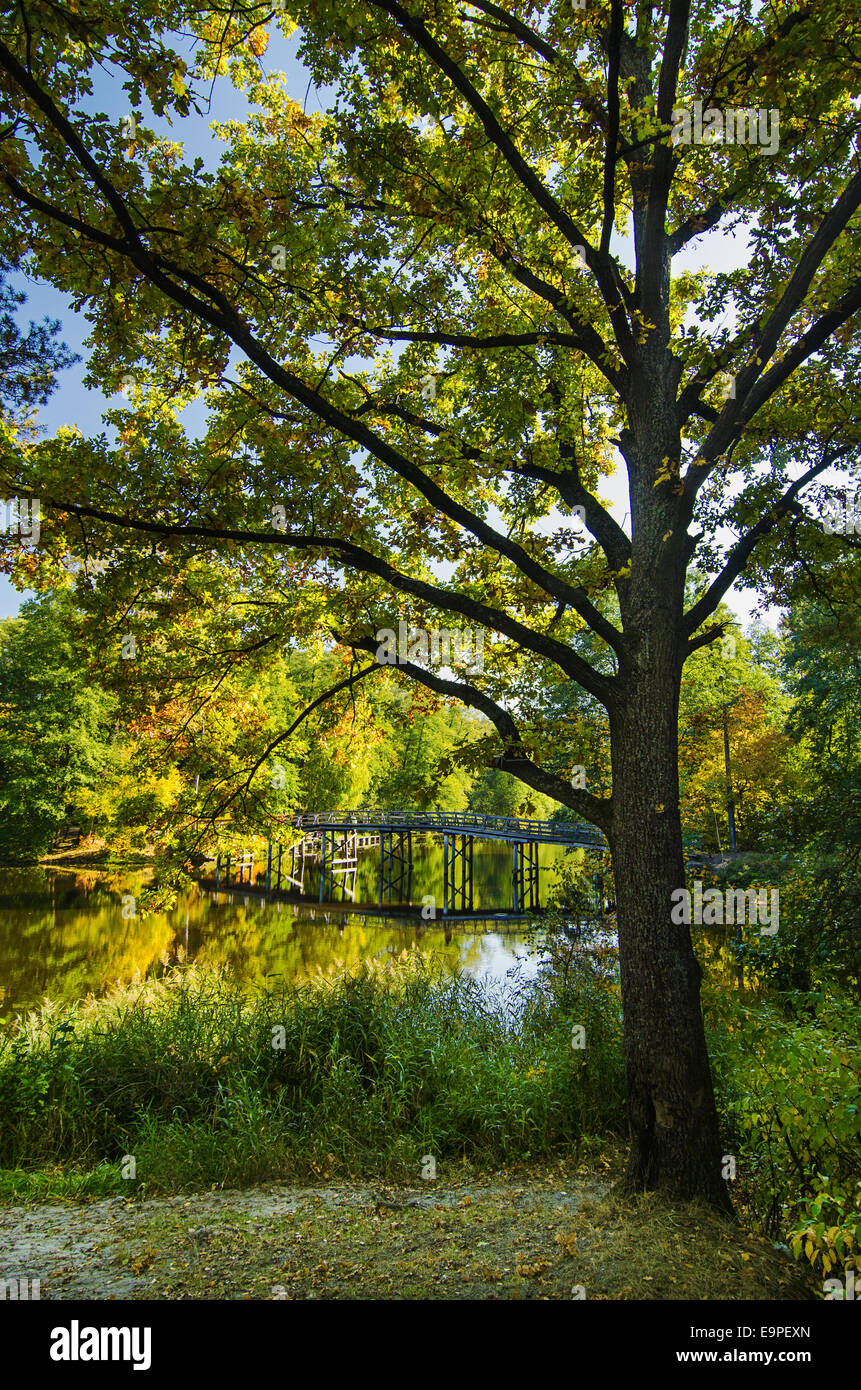 Autumn tree and lake Stock Photo - Alamy
