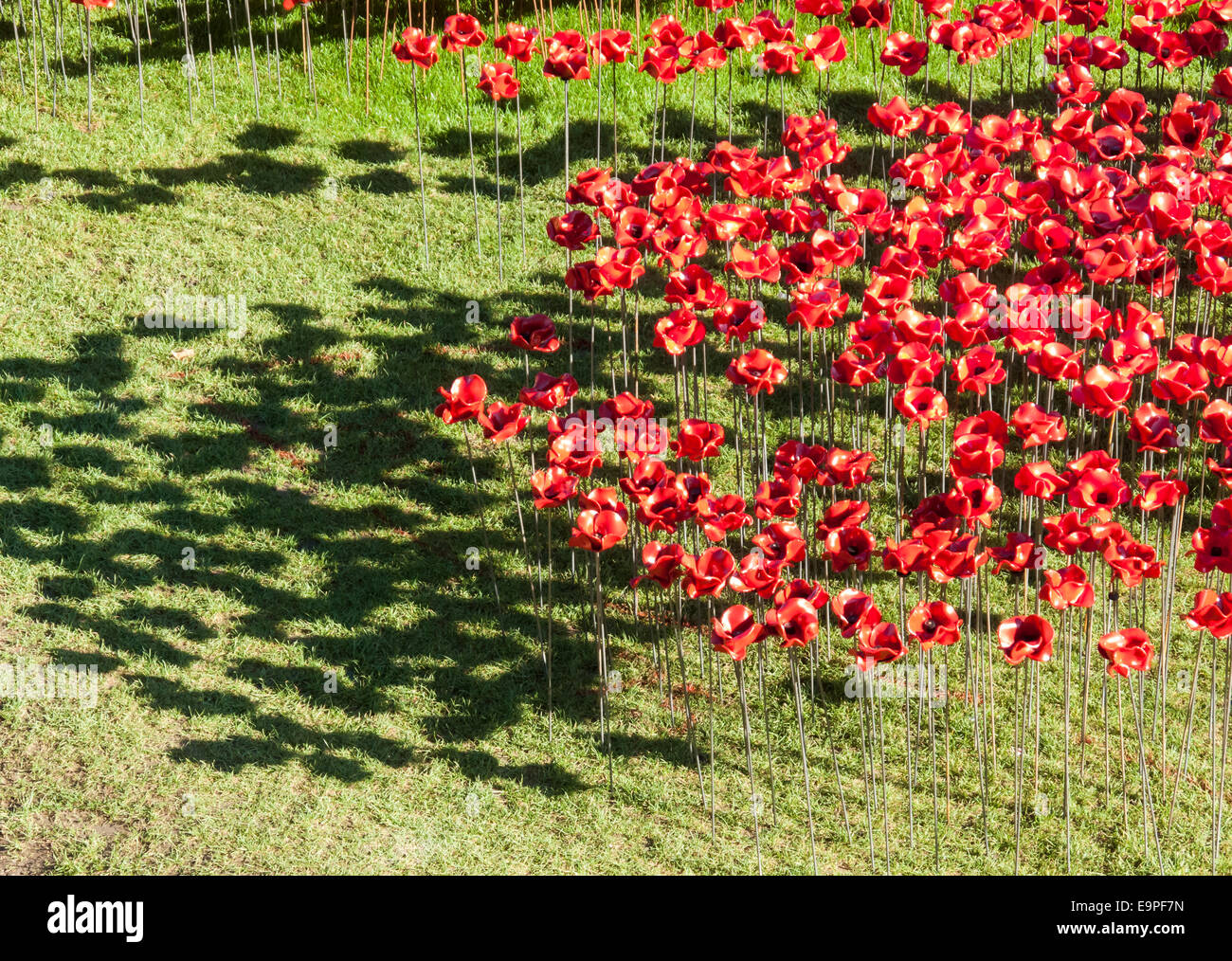 Red ceramic poppies with shadows at The Tower Of London Remembers ...