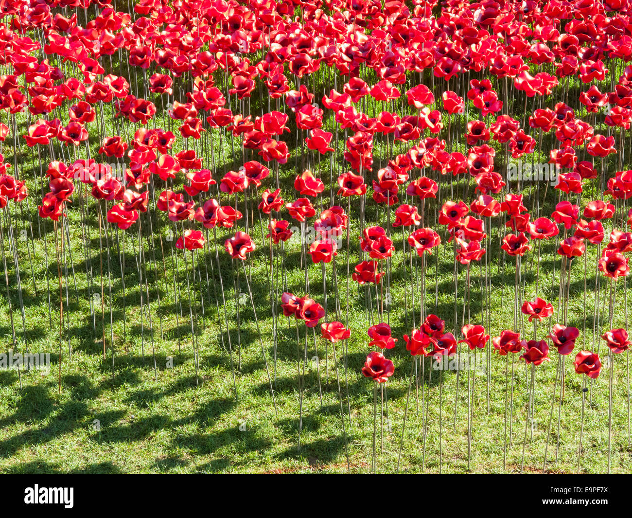 Poppy display tower london hi-res stock photography and images - Alamy