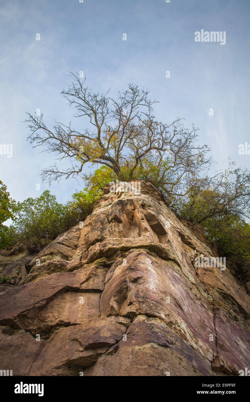 Rocks tree hi-res stock photography and images - Alamy